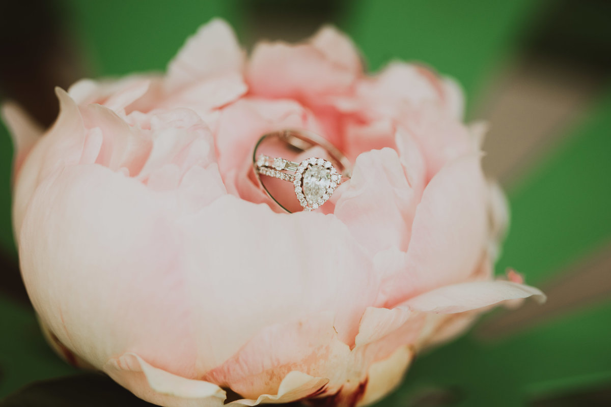 Shana Bailey Photography | Home