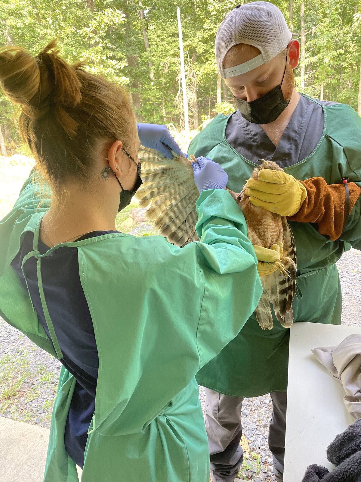 Professional Training | Blue Ridge Wildlife Center