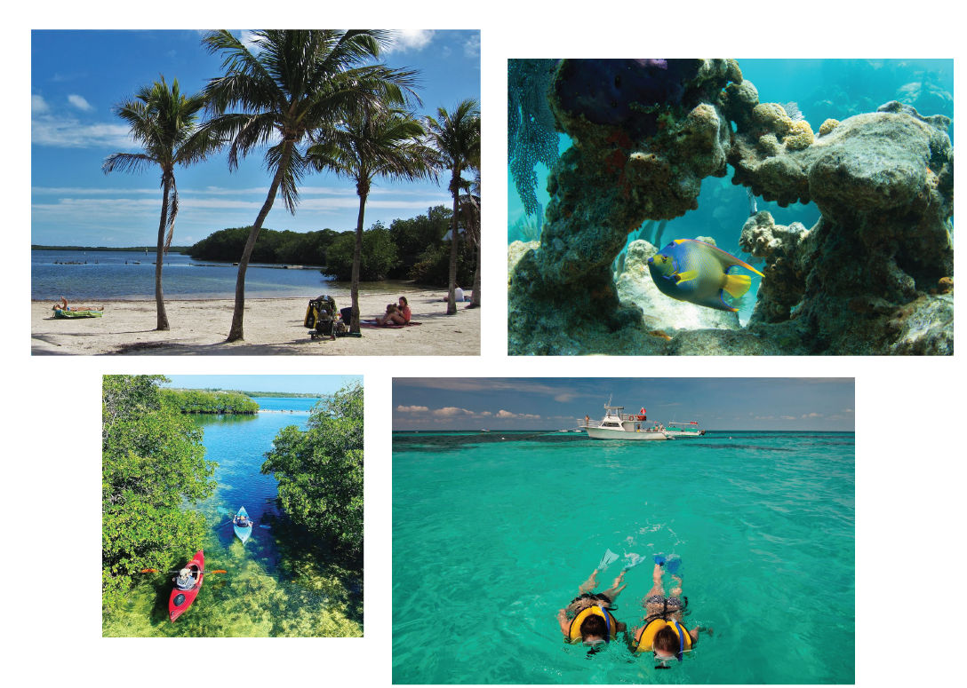 Things to do in Key Largo | Alexis Gomba & Mike Miller's Wedding Website