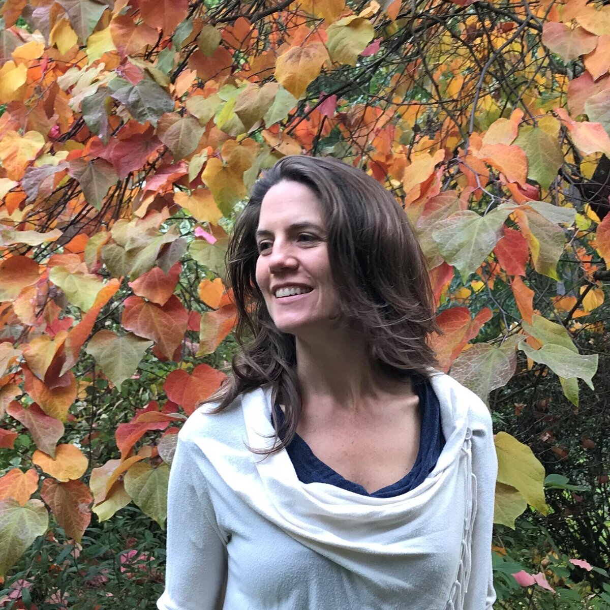 Sober Doctor Dawn - Successful Sobriety, Dawn Flynn, N.D.