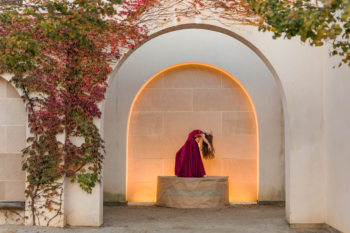 The Art of Composition & Movement, Photography Education