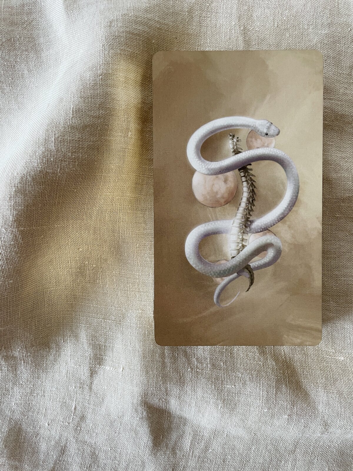 Bone Codes Oracle Deck and Instructional Guide | Ash Stinson