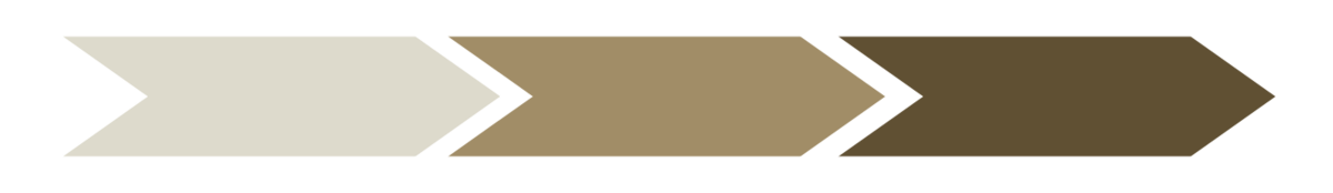 Best Health Coach Certification Program | Become a Coach