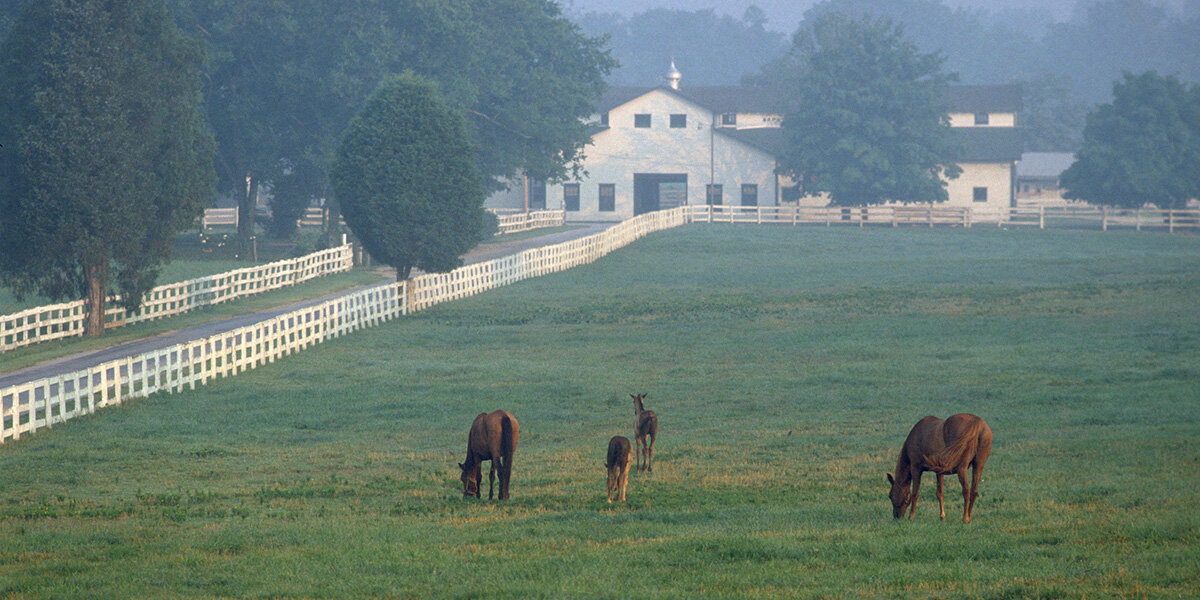 Harlinsdale Farm