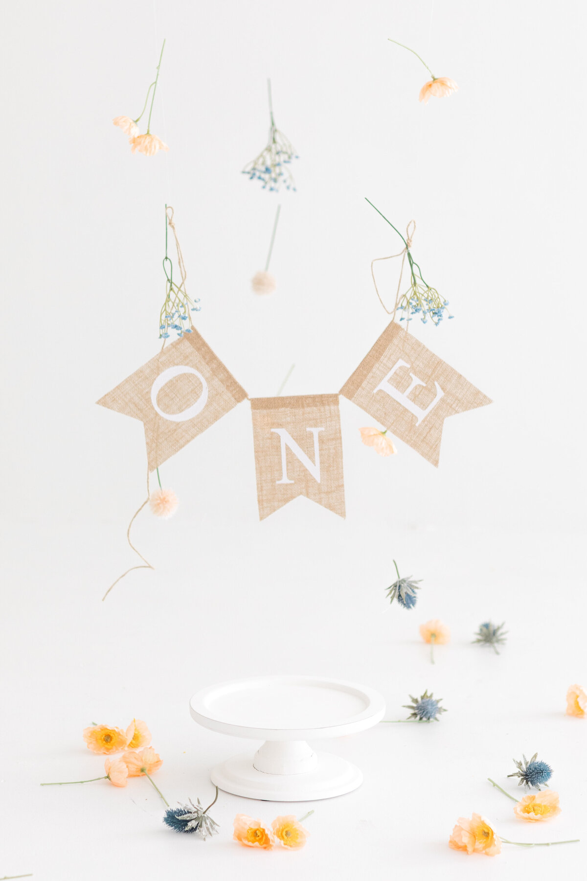 Jax Mini Sessions Jacksonville, FL Photography Studio Rental