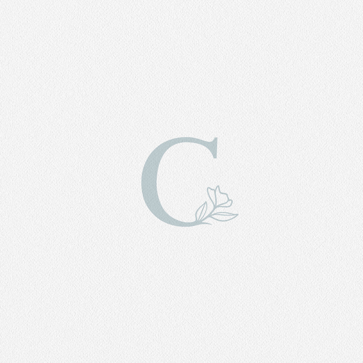 Brand and Web Design | The Creative Accent