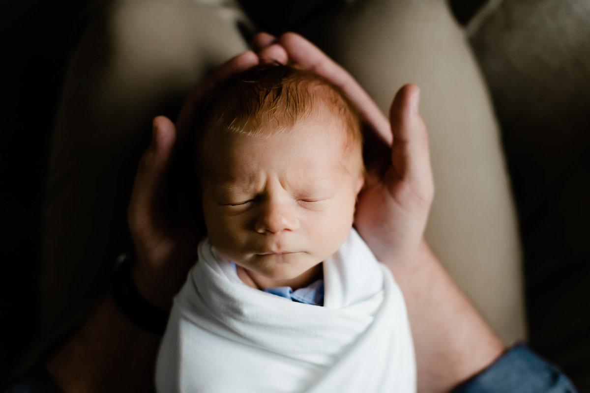Kelly Laramore Newborn Photography Galleries | St. Louis Photographer