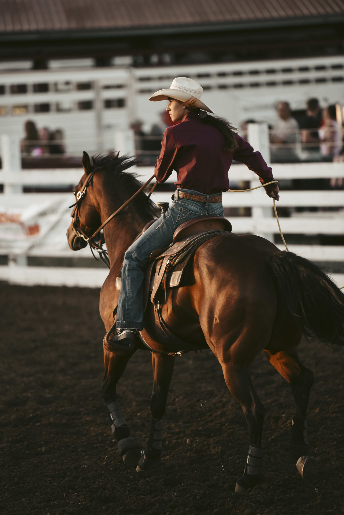 Home [jlee.photography]