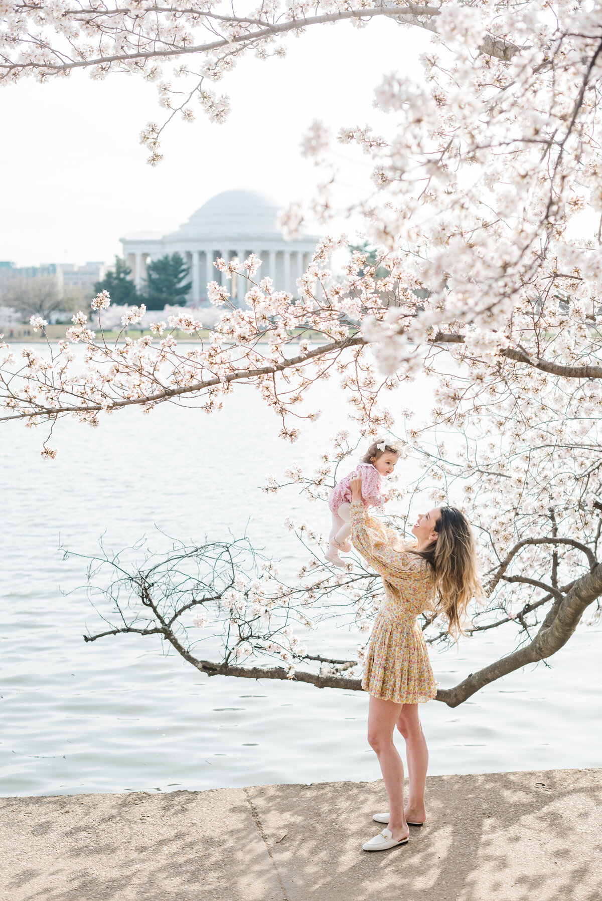 DC & NOVA Family Photographer | Cherry Blossom Photos