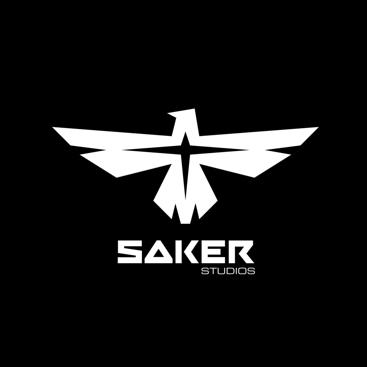 Saker Studios | Video Production & Content Creation Experts