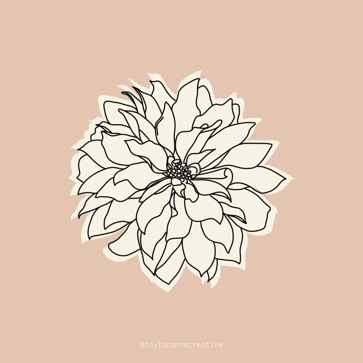 Case Study: Tula Wellness