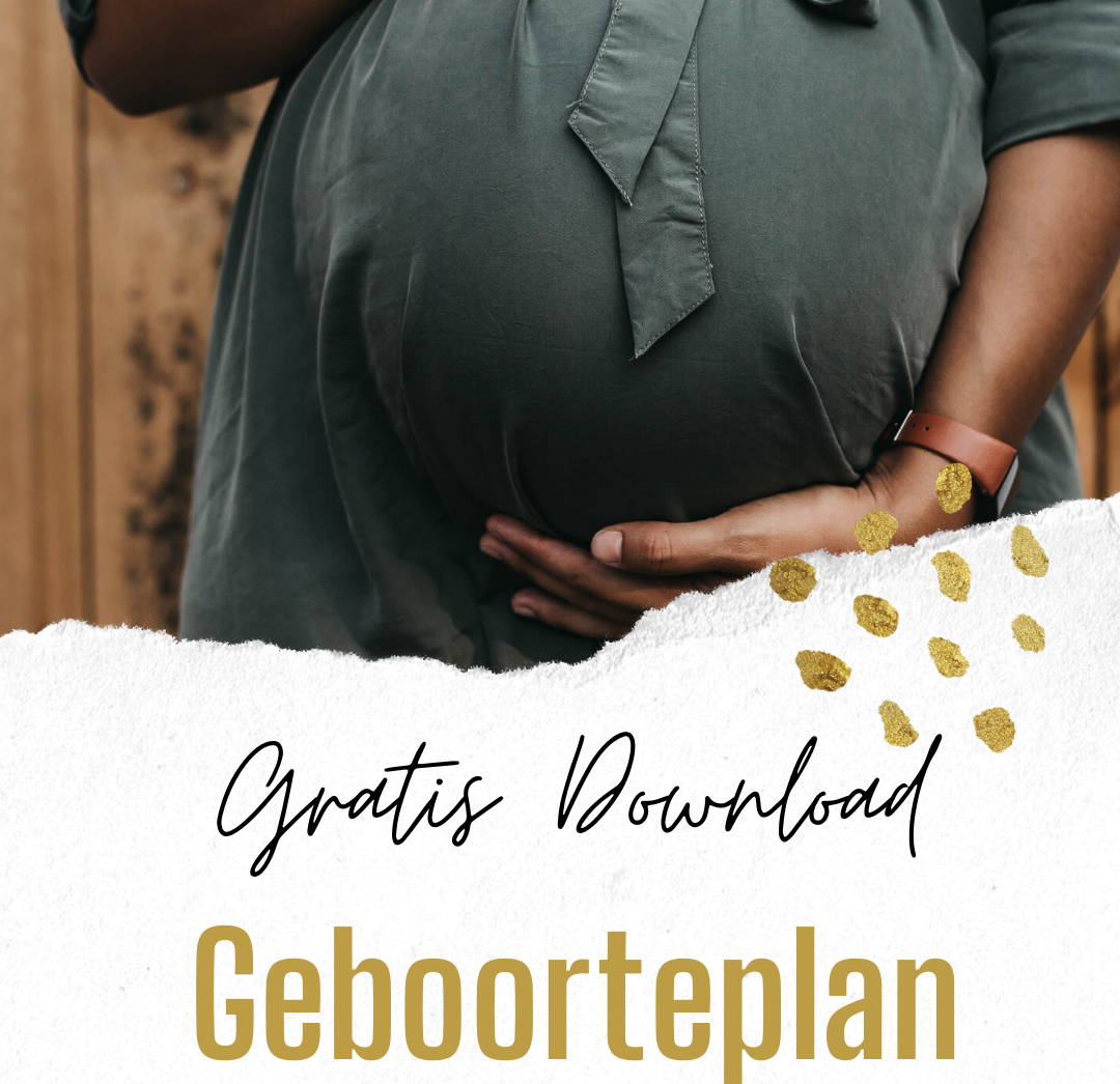 Gratis download geboorteplan met iconen, handige tips & voorbeelden