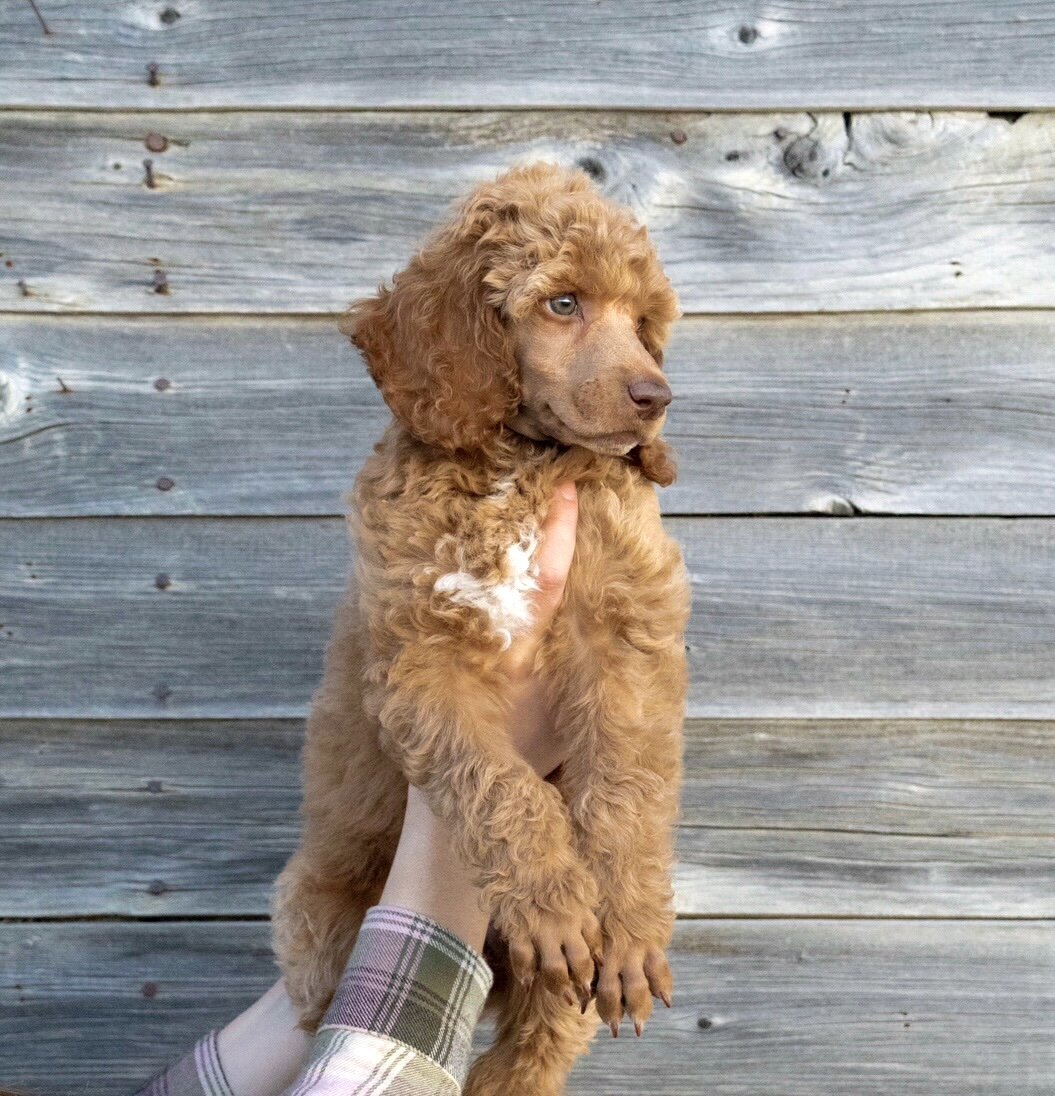 Home [www.maverickranch.ca]