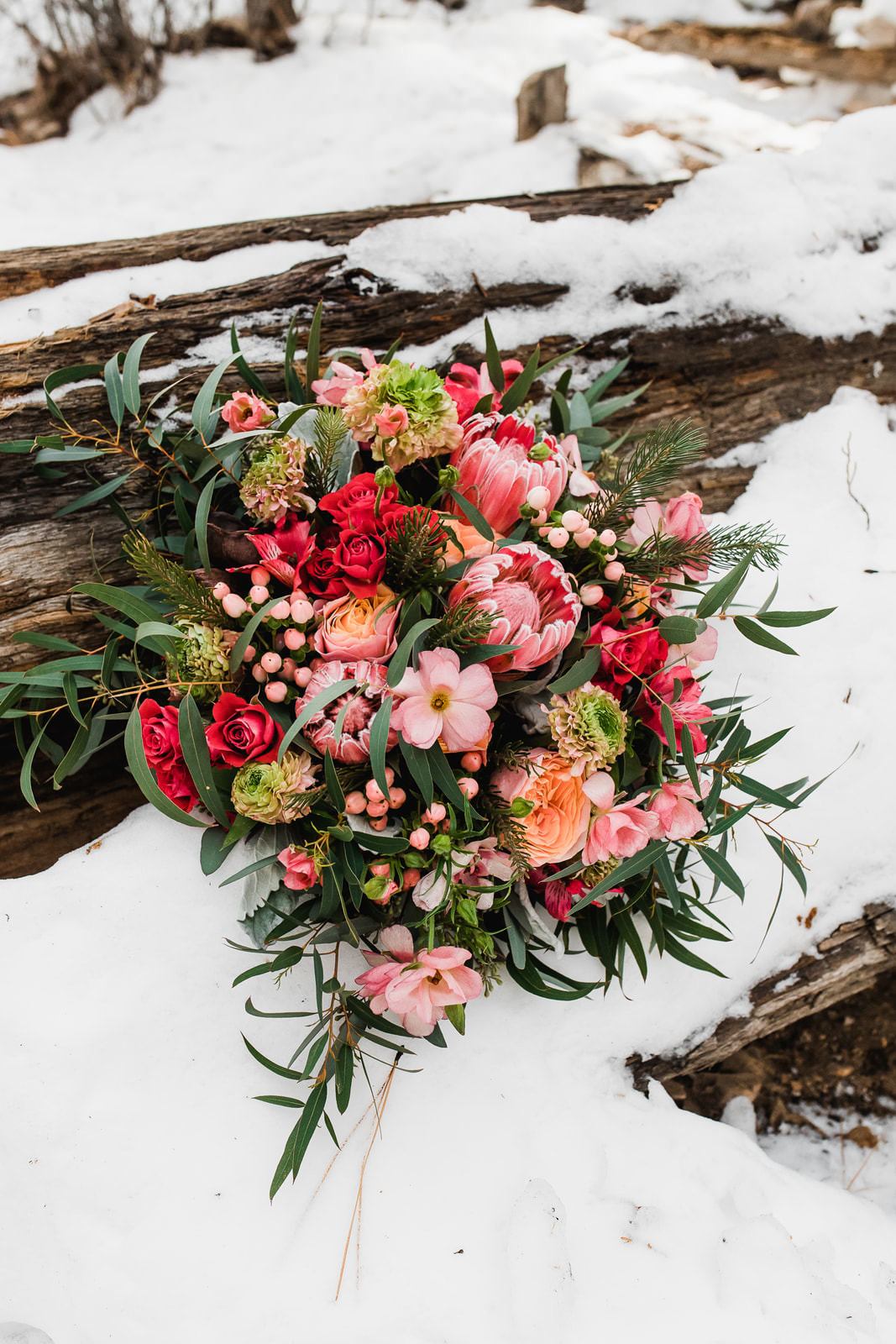 Home [wildflowerphotoco.com]