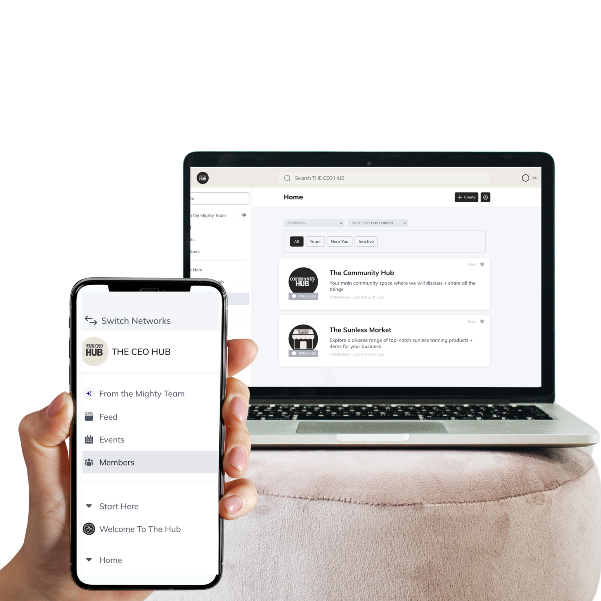 The CEO Hub - A Virtual Community For Sunless Artists