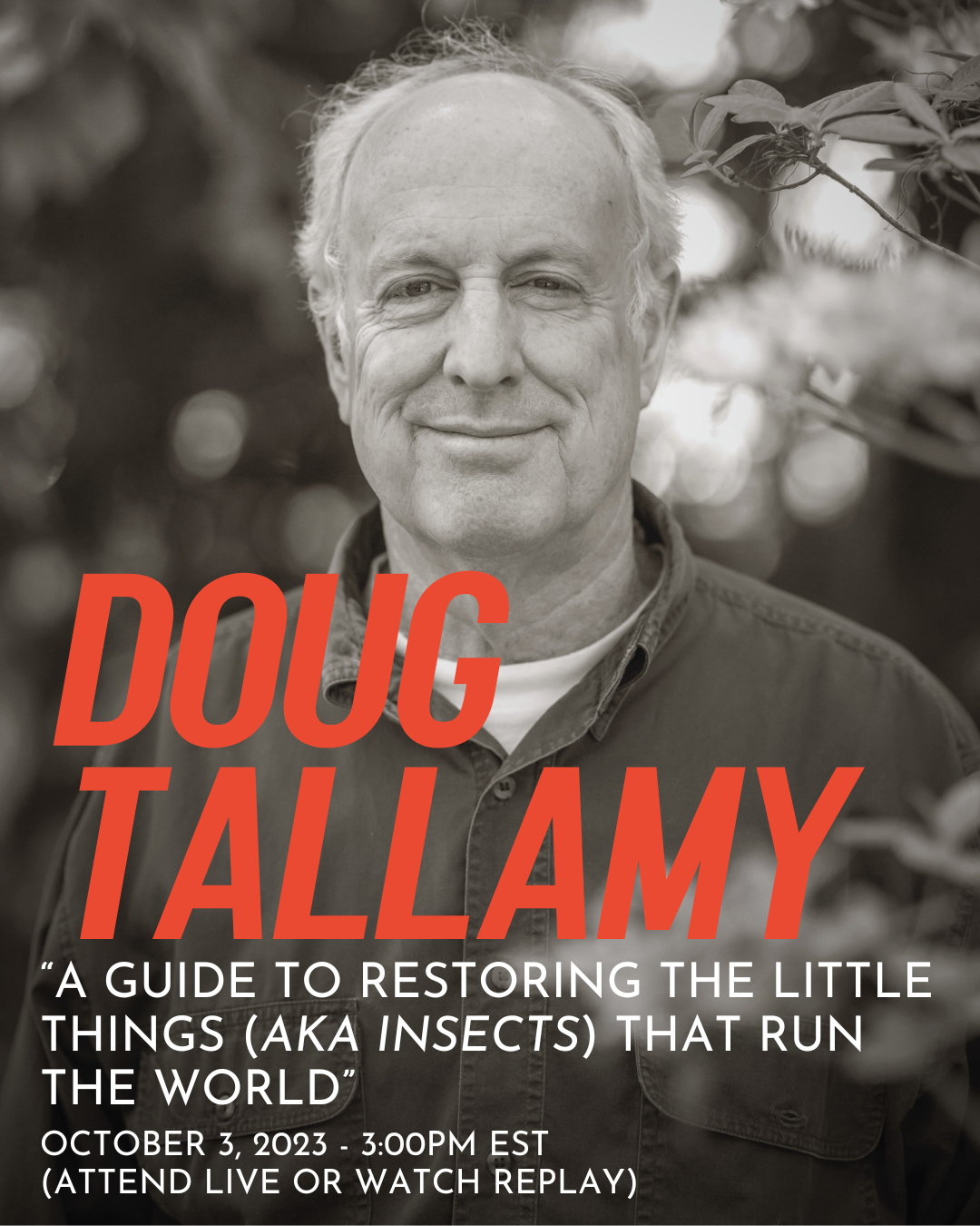 In-depth Garden Design Education for Amateurs and Professionals in only ...