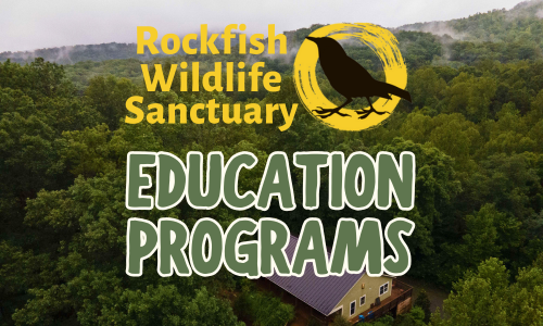 Wildlife Education Programs | FAQs & Information