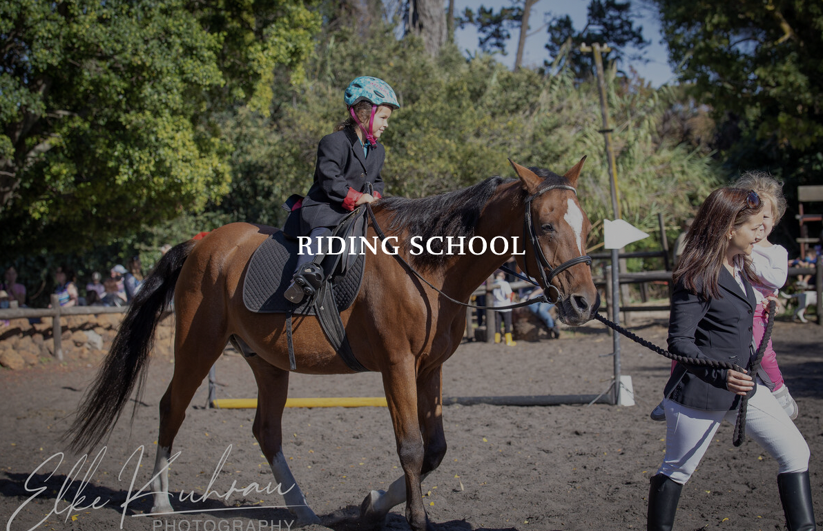 Experience Horse Riding at Camelot Horse Riding School