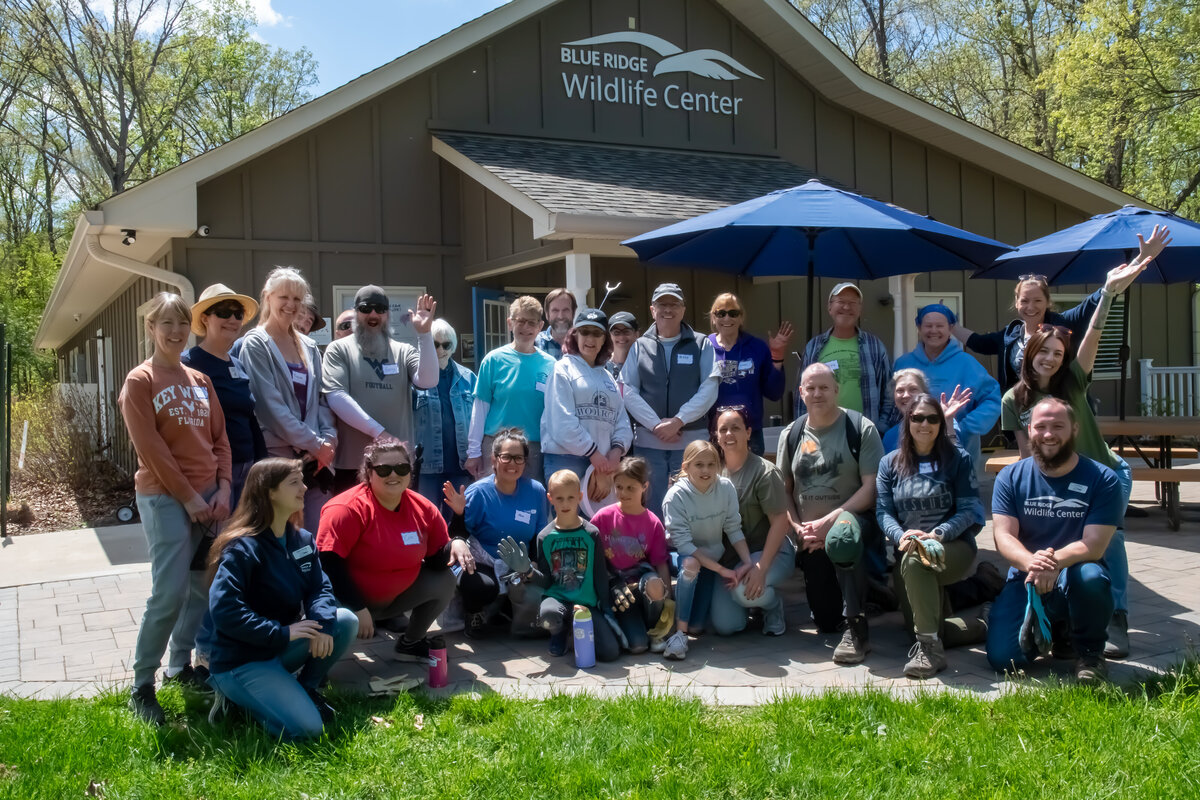 Visit | Blue Ridge Wildlife Center