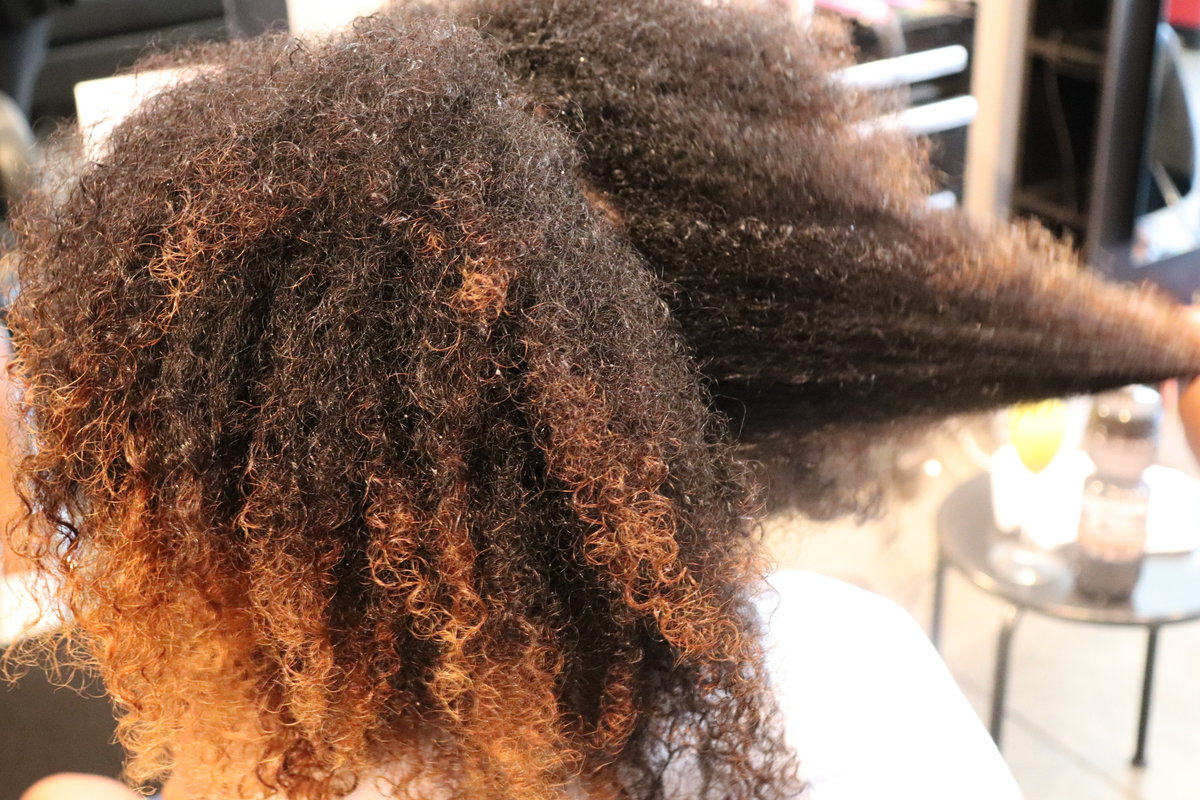 Gallery | Pressed Roots