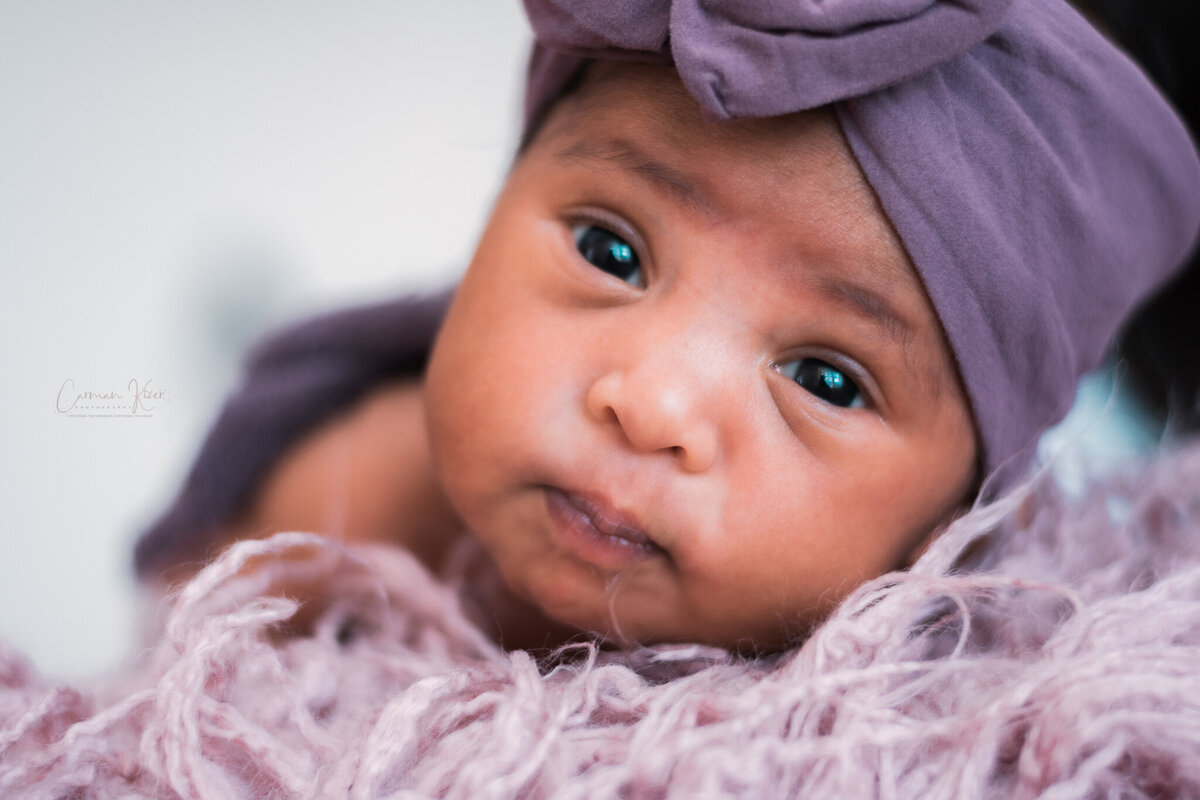 Maternity + Newborn Photography Charlotte Carman Kizer