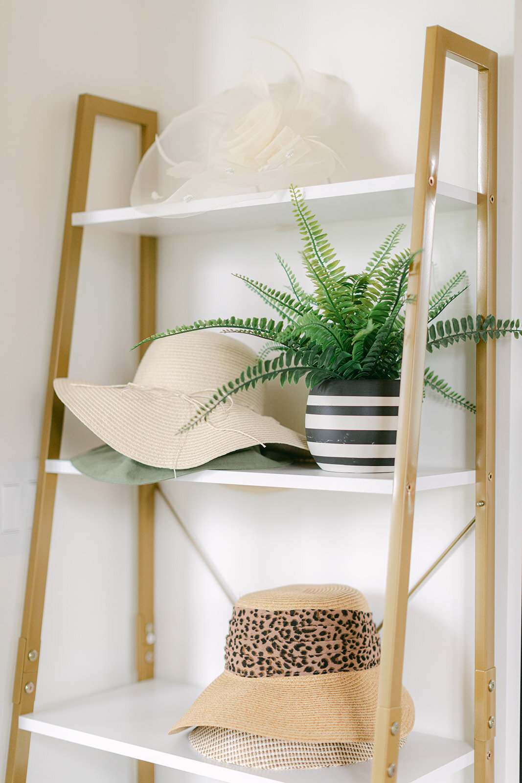 Timeless Acres Farm - Maria Killam | Timeless Colour