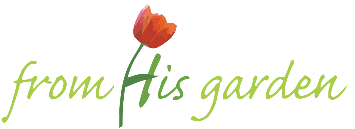 Gallery | Circle J Ranch