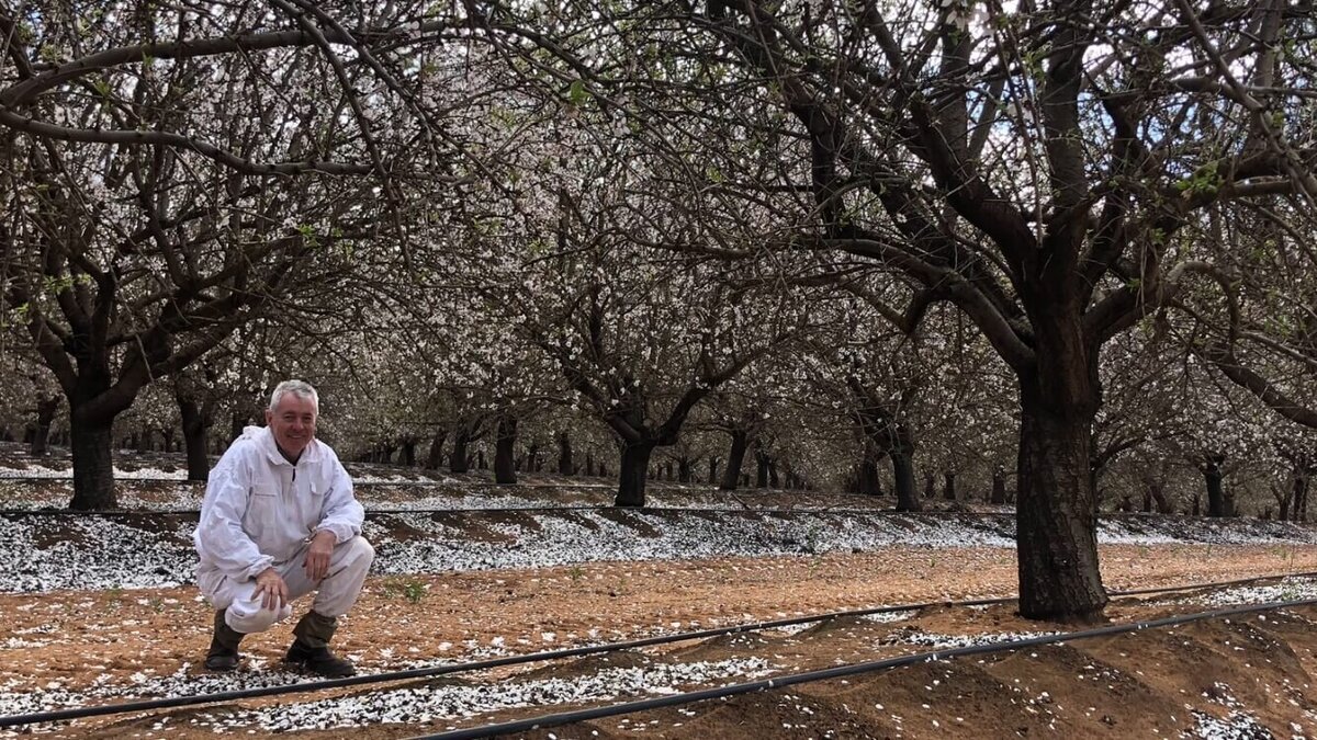 Bee Experts Australia | About