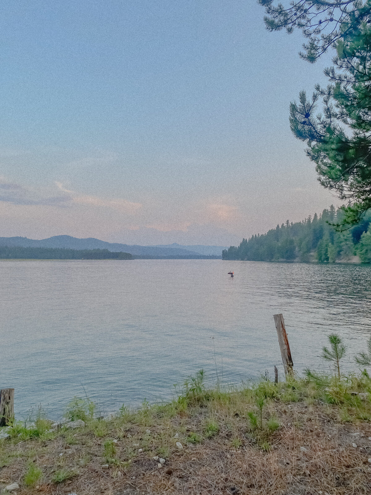 Still Creek Studio Template | By Still Creek Studio