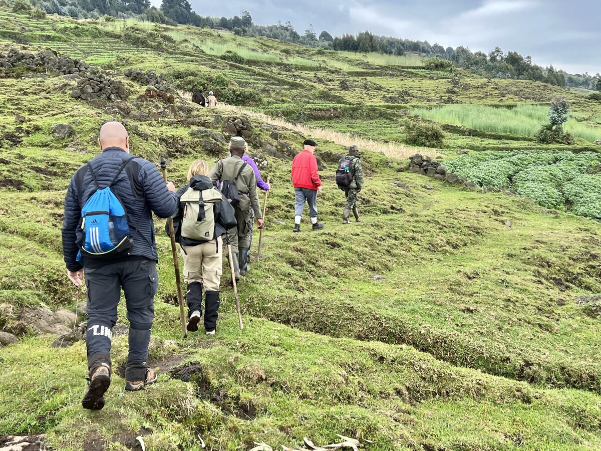 About Go Eat Give | Travel Sustainably and Meaningfully