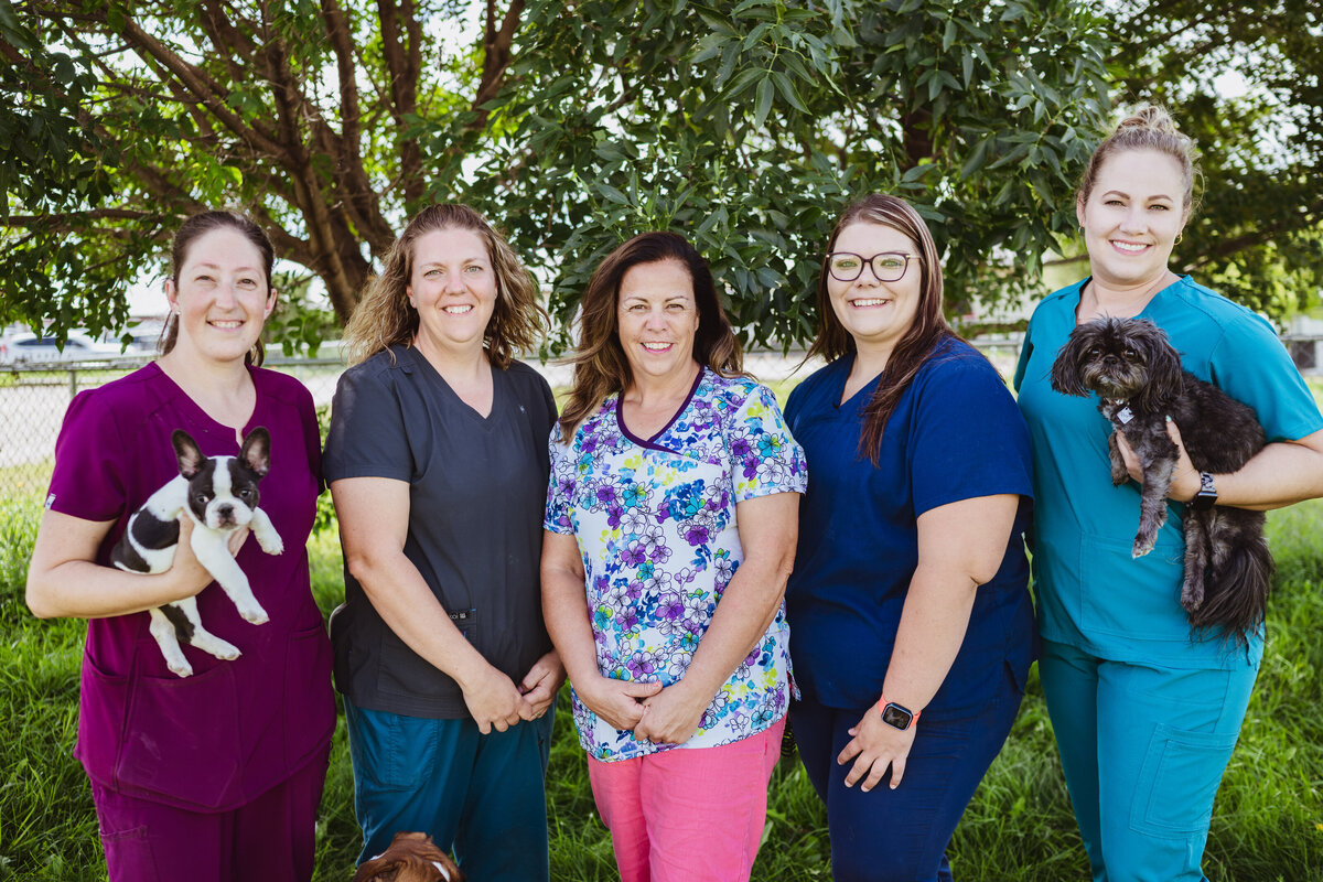 About the Perkins County Veterinary Staff