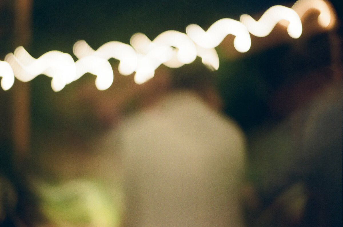 UT + CA Wedding Photographer | Rachel Dom. Photography