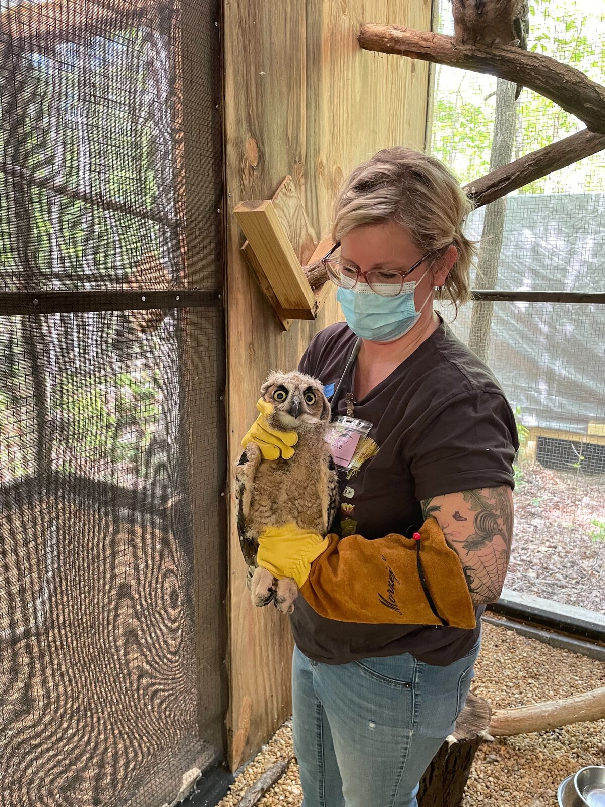 Volunteer | Blue Ridge Wildlife Center