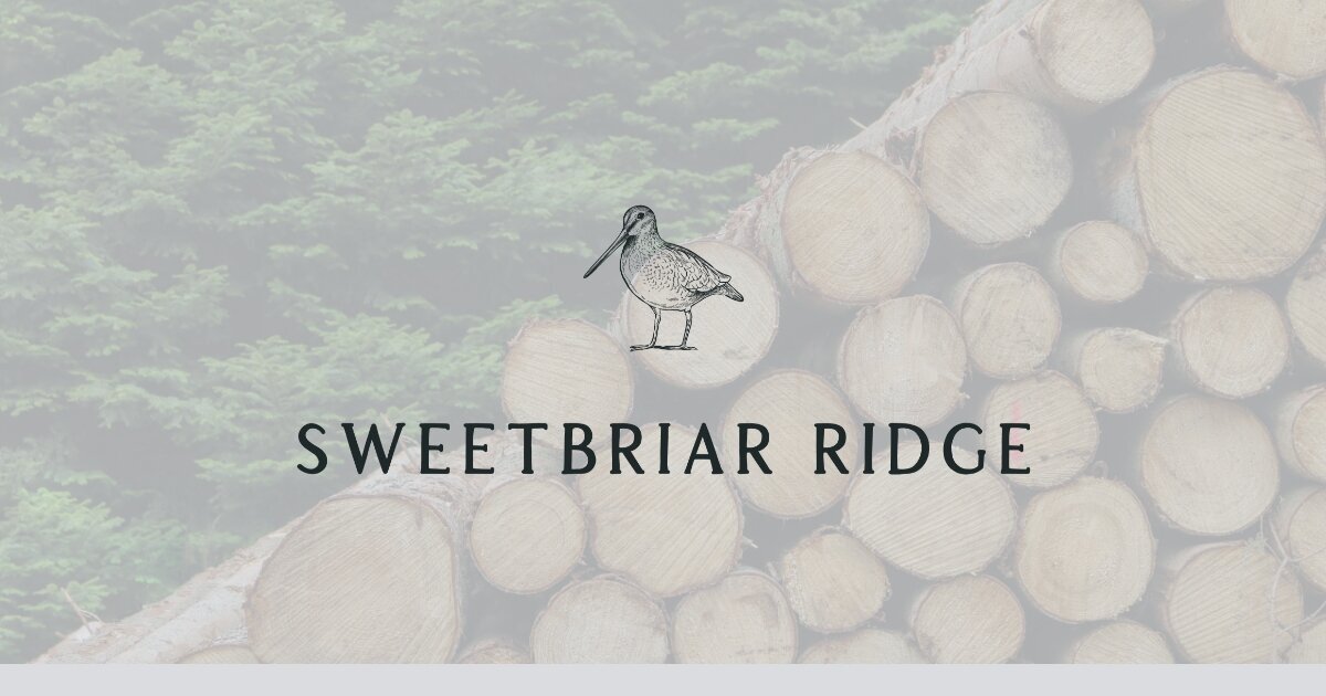 Booking for a Minnesota Nature Getaway | Sweetbriar Ridge