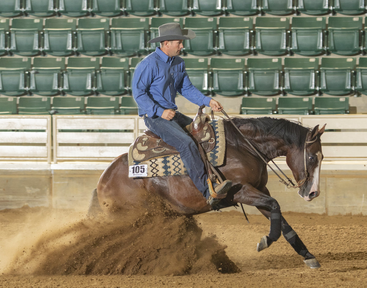 Horse Shows - 555 Photography