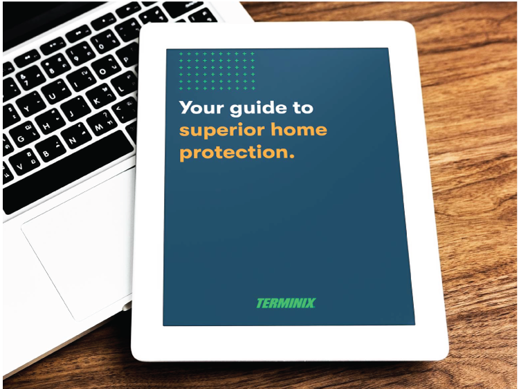 Terminix Email Opt-In Campaign