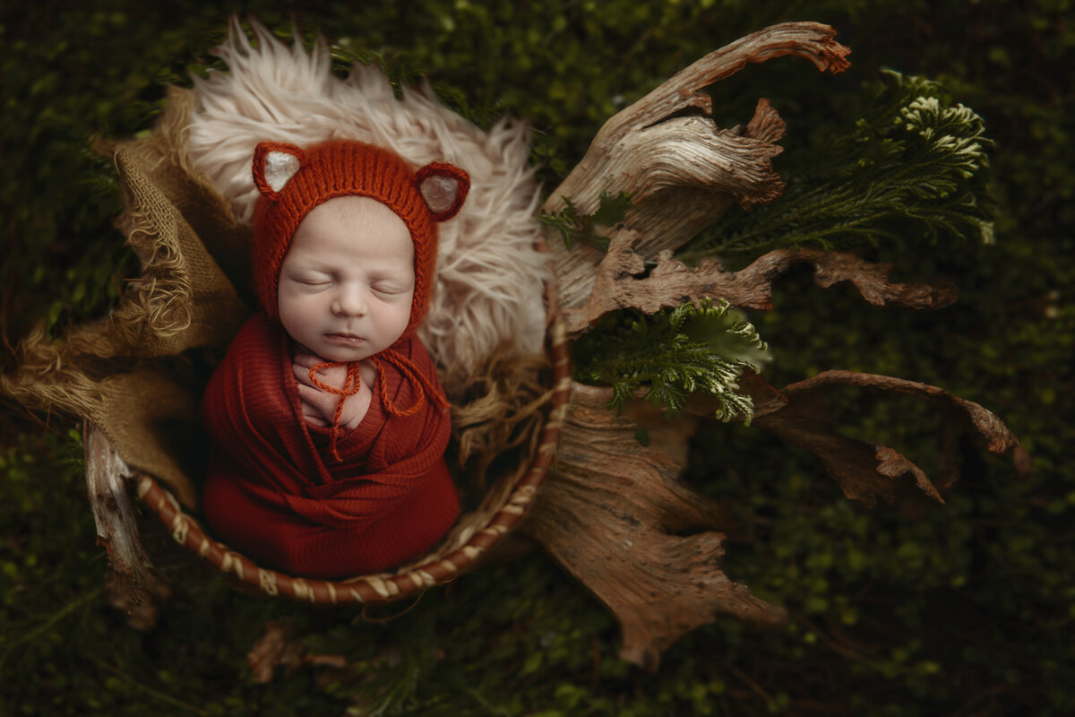 WV Newborn Baby Photographer | AM Photography
