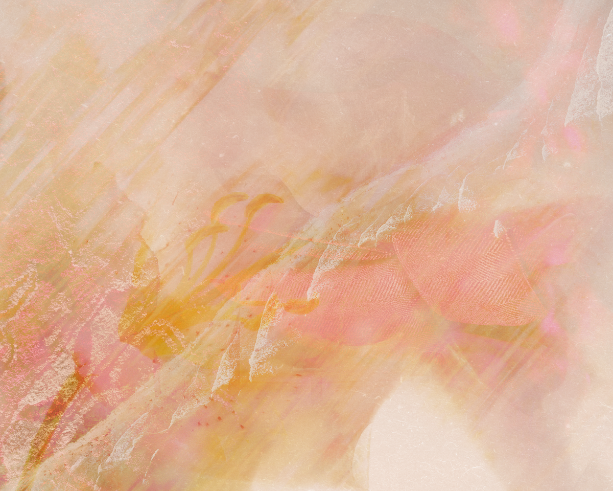 Texture Design Day | Flora Creative Co