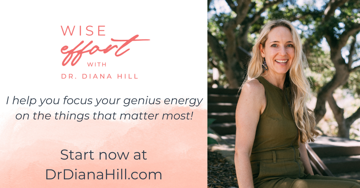 Wise Effort | Book by Dr. Diana Hill | ACT Psychologist