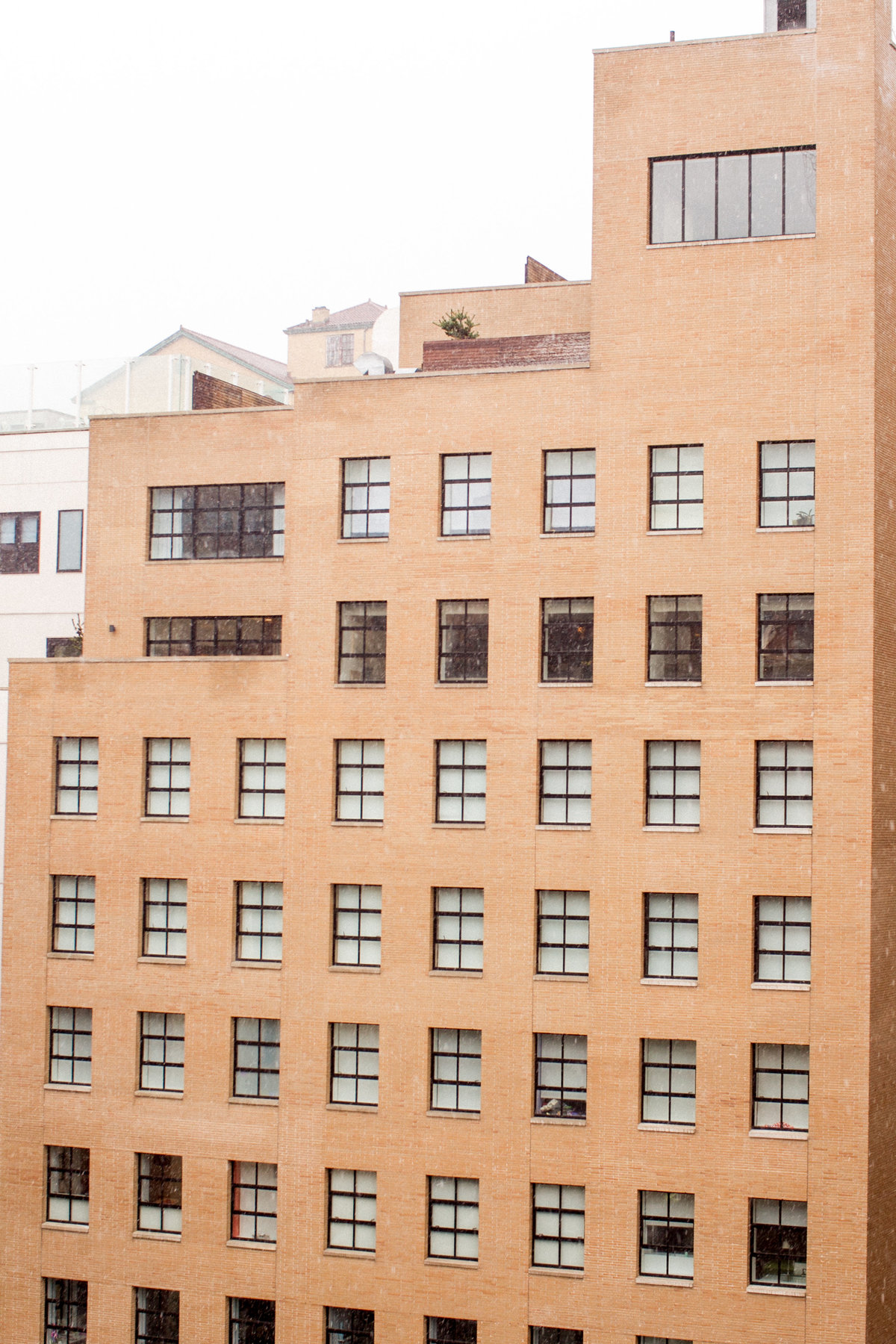 Galleries-engagement