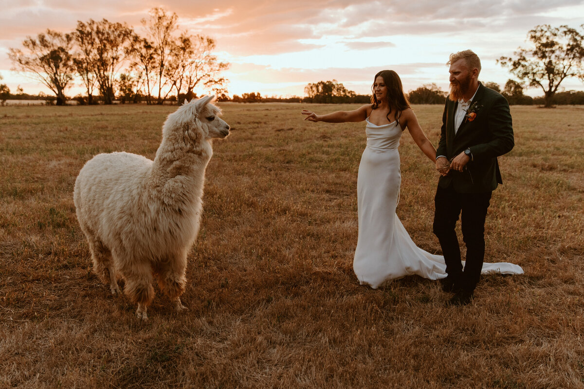 Wedding Photography Packages Australia