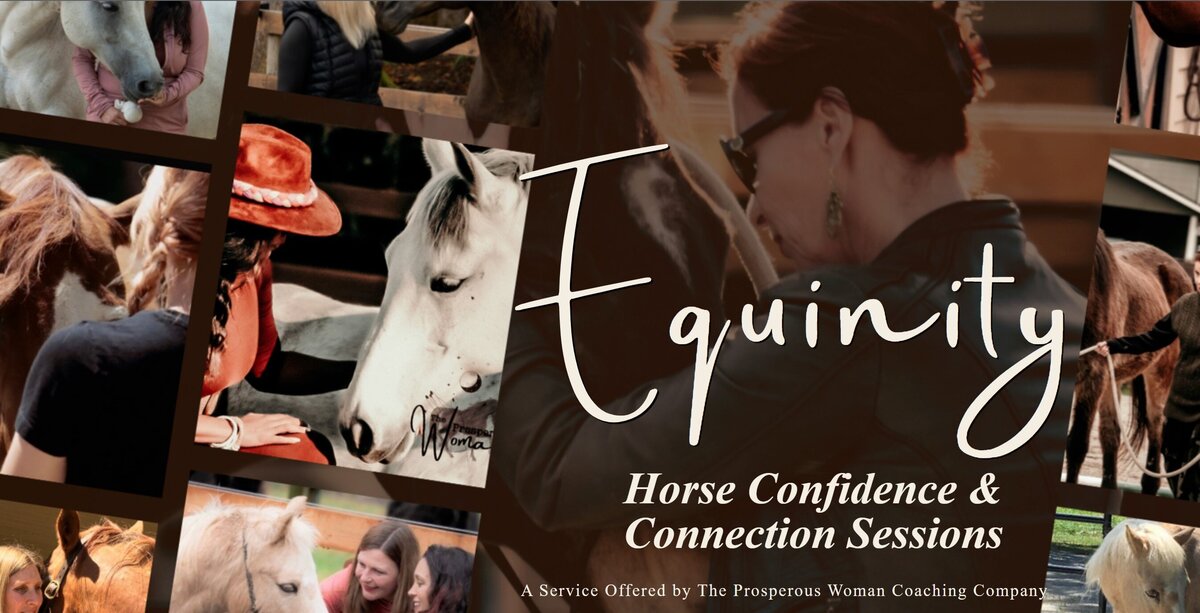 Equinity Horse Confidence & Connection Sessions