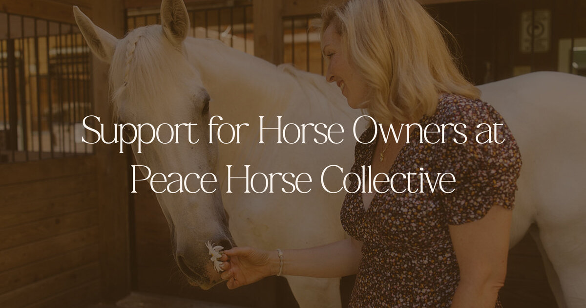Support for Horse Owners & Equine Partners