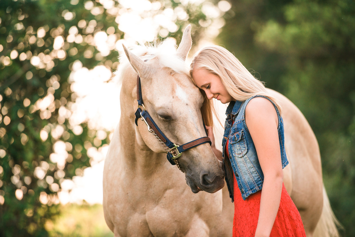 Home [haleyfosterphotography.com]