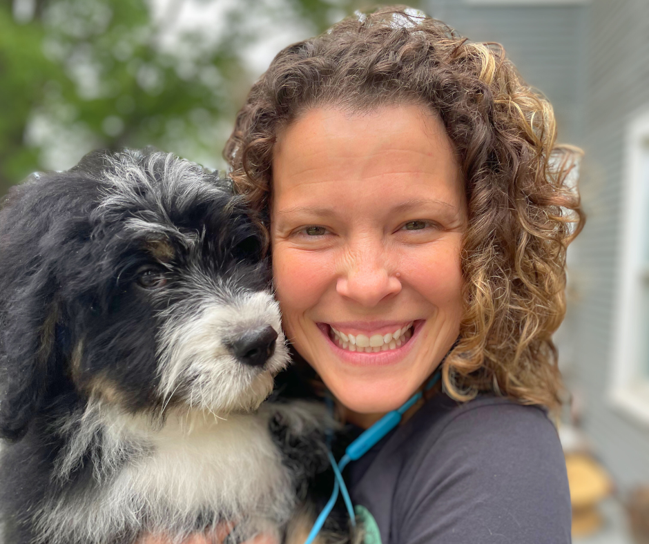 Bernedoodle Puppies | We Deliver | Hamilton Farm Doodles