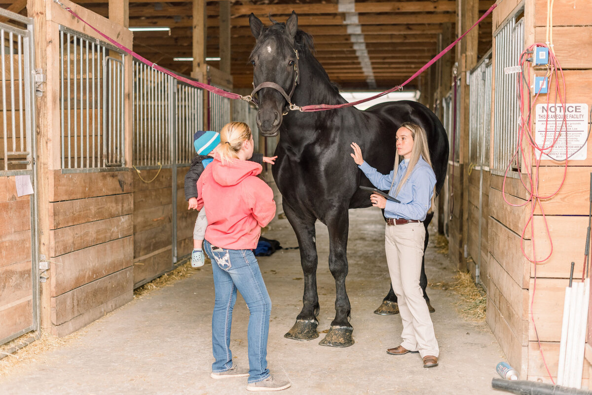 BCS 5.0 Consulting - Ohio Based Equine Nutrition Specialist