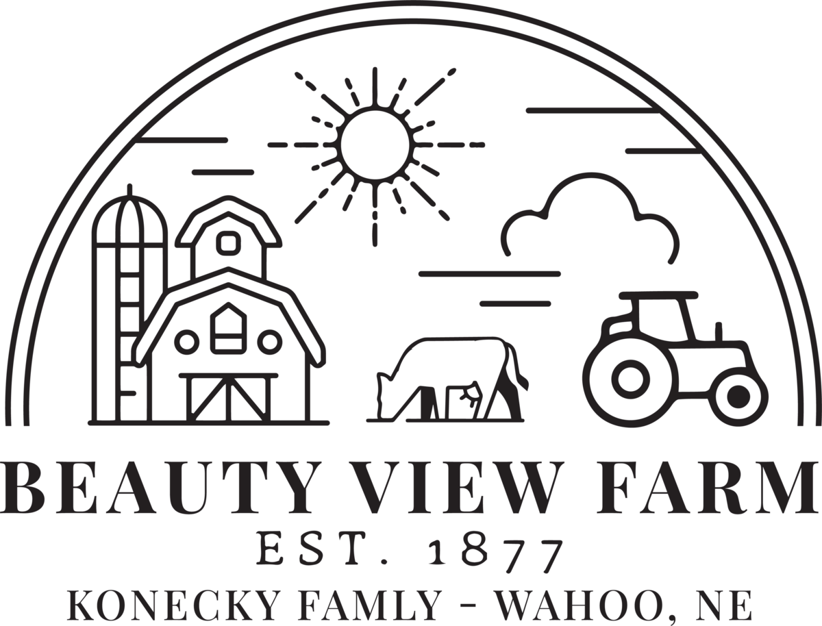 Beauty View Farm | HOME