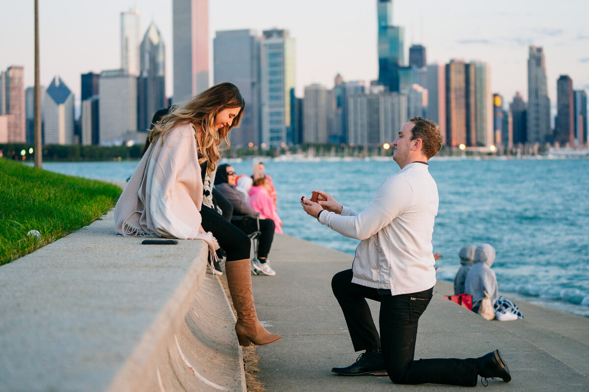 Beautifully Captured Chicago Proposal Photos - $375 / $450