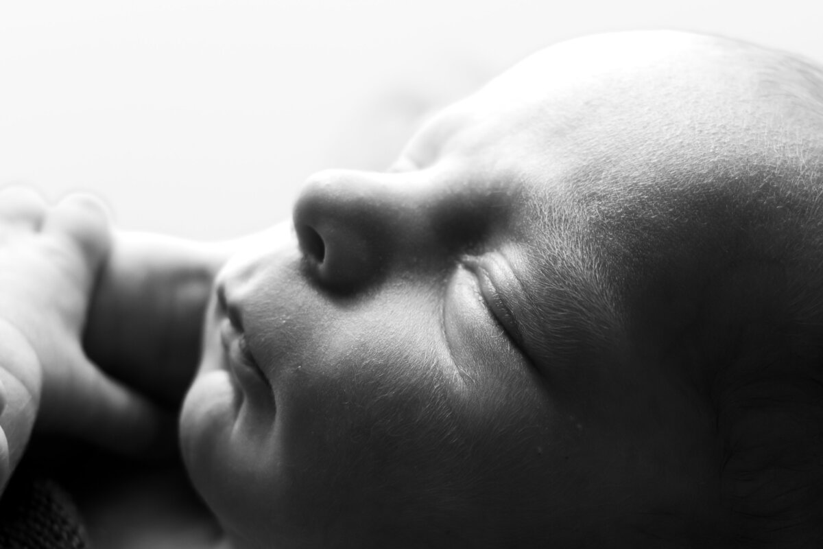 Product Guide | Pink Door Studio