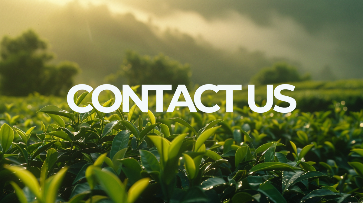 Contact Us | EOS